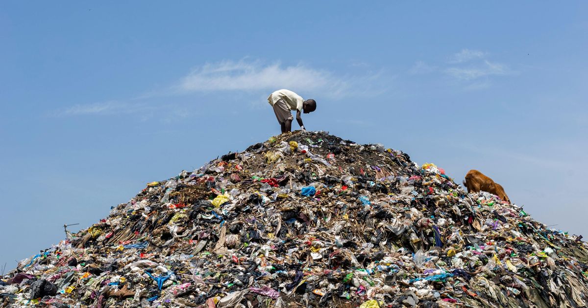 Microplastics Fuel The Rise Of Multi Drug Resistance Longevity Magazine